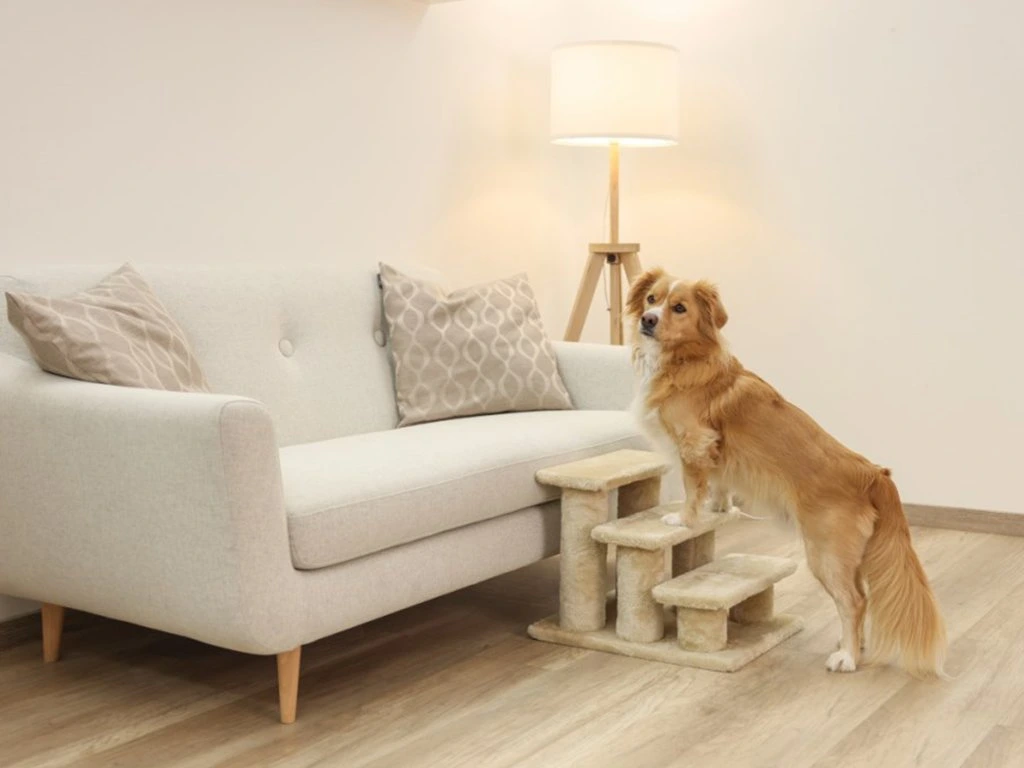 Schůdky a rampy pro psy - EGGY.cz